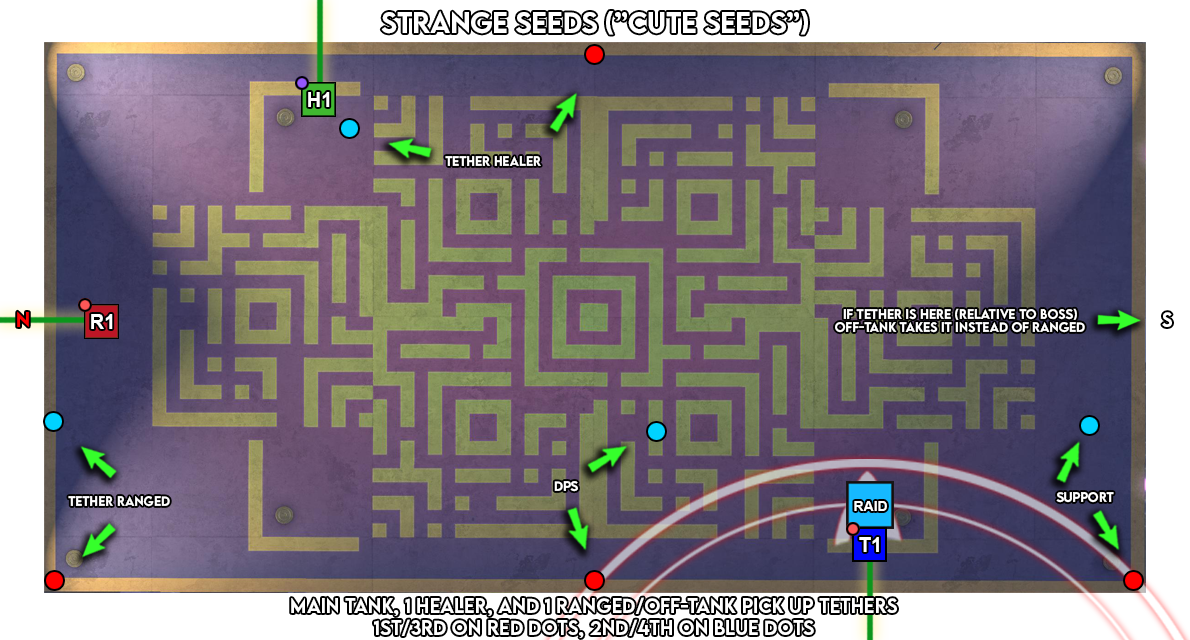 M7S Cute Seeds Diagram - Rainesama